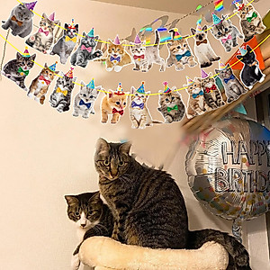 2pcs Cat Theme Party Banner Decorations Pet Cat Birthday Party Decorations Baby Cat Birthday Party Garland Decorations for Pet Kitties Theme Birthday Party Baby Shower Favor Bunting Supplies