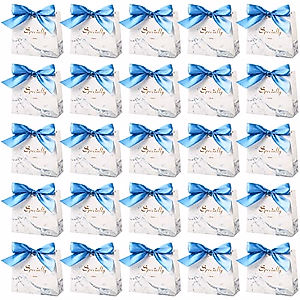 80 Pack Small Thank You Gift Bags Boxes Mini Party Favor Gift Bags with Bow Ribbon Treat Boxes Mini Paper Bags for Wedding Baby Shower Party Bridesmaid Celebration (Blue Ribbon, Stylish Style)