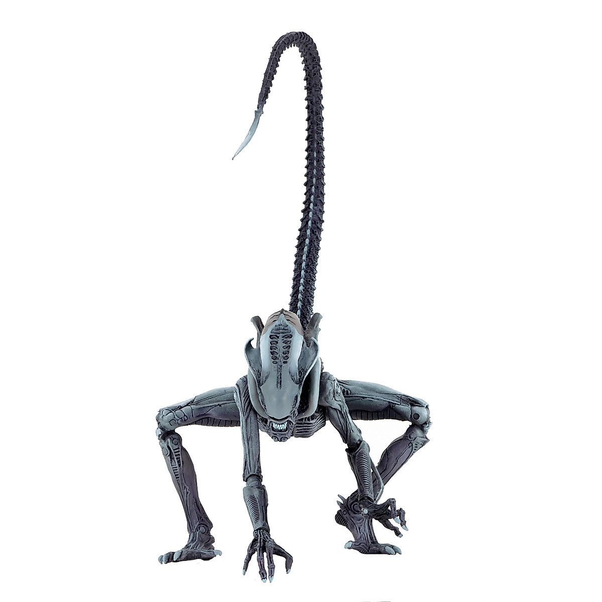 NECA - Aliens vs Predator (Arcade Appearance) - 7" Scale Action Figures - Arachnoid