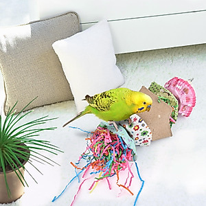 Bissap Conure Toys, Bird Parrot Foraging Shredder Hanging Toys 2 Sola Balls Wooden Block Tassels with Bell for Small Parrots Parakeets Conures Cockatiels Love Birds Cage Toy
