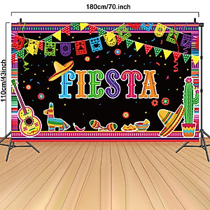 Mexican Fiesta Backdrop Mexican Birthday Banner Cinco De Mayo Theme Party Decoration Supplies Mexico Carnival Party Background for Mexican Birthday Baby Shower Party Picture Photo Studio Favors