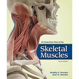 An Illustrated Atlas of the Skeletal Muscles