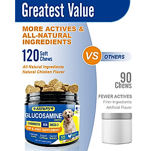 Joint Supplement For Dogs, Hip & Joint Health, Pain Relief, Mobility & Flexibility Support, Glucosamine, Chondroitin, MSM & Omega-3, Turmeric, Advanced Pet Vitamin (Chicken Flavor / 120 Chews)