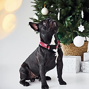 TIESOME Adjustable Soft Dog Collar, Bohemia Floral Multicolor Cute Patterns for Small Medium Large Pet Puppy Walking Running Training (Red M)
