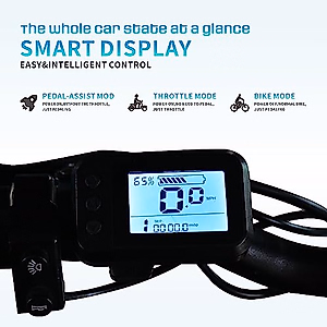 POLARNA Electric Bike for Adults 20" ebike 750W Motor Samsung 48V 30Ah Removable Battery Fat Tire Electric Bike Mountain Beach Snow Bike 30MPH…