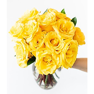 DELIVERY BY FRIDAY, 8/2 GUARANTEED IF ORDER PLACED BY 8/1 BEFORE 2PM EST From You Flowers - One Dozen Yellow Roses with Glass Vase (Fresh Flowers) Birthday, Anniversary, Get Well, Sympathy,