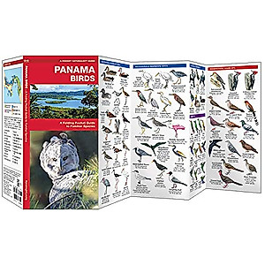 Panama Birds: A Folding Pocket Guide to Familiar Species (Nature Observation International)