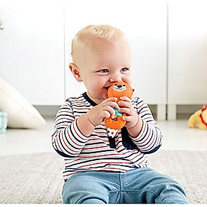 Fisher-Price Hungry Otter Rattle