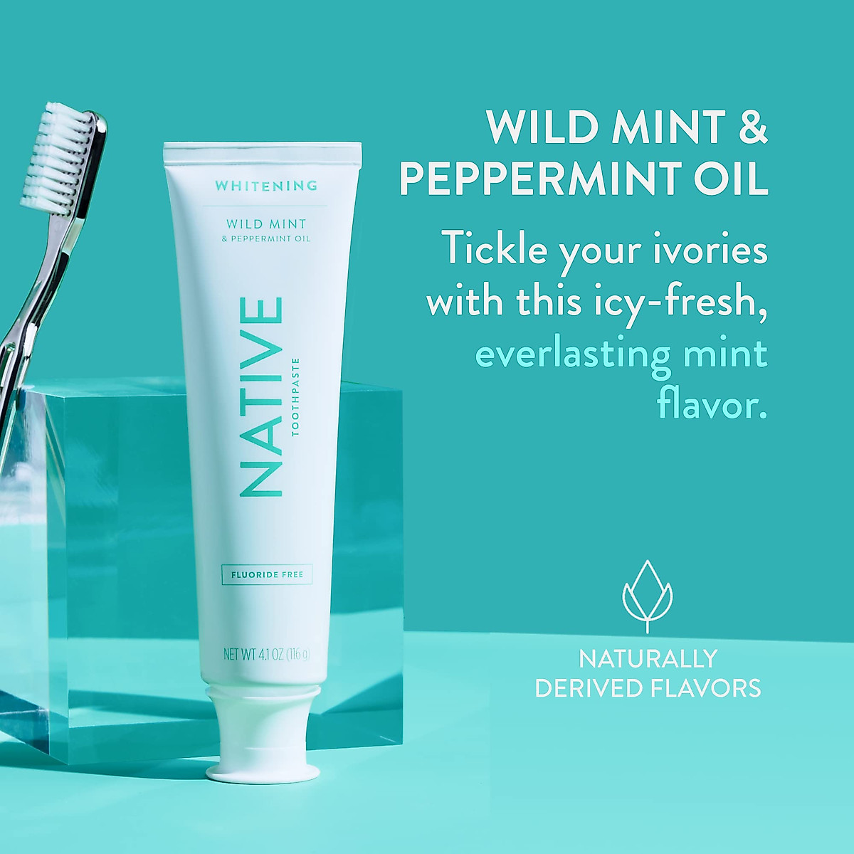 Native Toothpaste Made from Naturally-Derived Cleaners and Simple Ingredients That Safely Whitens Teeth, 4.1 oz, Wild Mint Fluoride Free - 3 Count