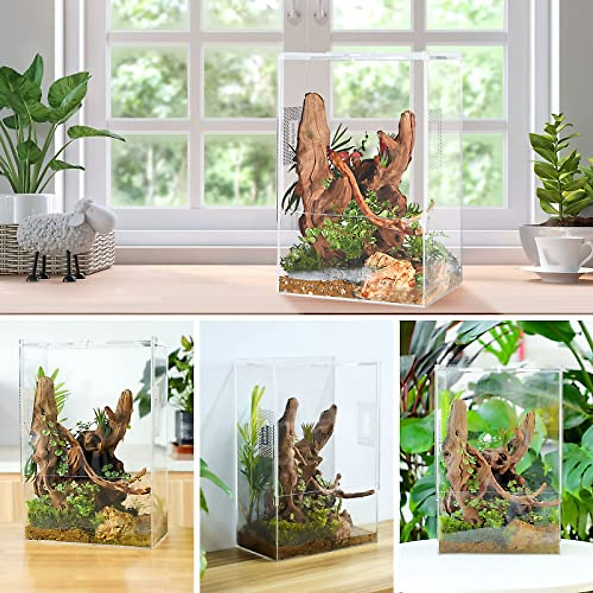 Reptile Terrarium Tank,Tarantula Enclosure 15’’x10’’x6’’ INKPET Acrylic Medium Feeding Tarantula Habitat Box for Hermit Crab,Leopard Gecko,Snake,Frog and Chameleon Cage(No Assembly Required)