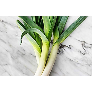 Gaea's Blessing Seeds - Leek Seeds - Non-GMO American Flag Leek Seeds with Easy to Follow Planting Instructions - 90% Germination Rate