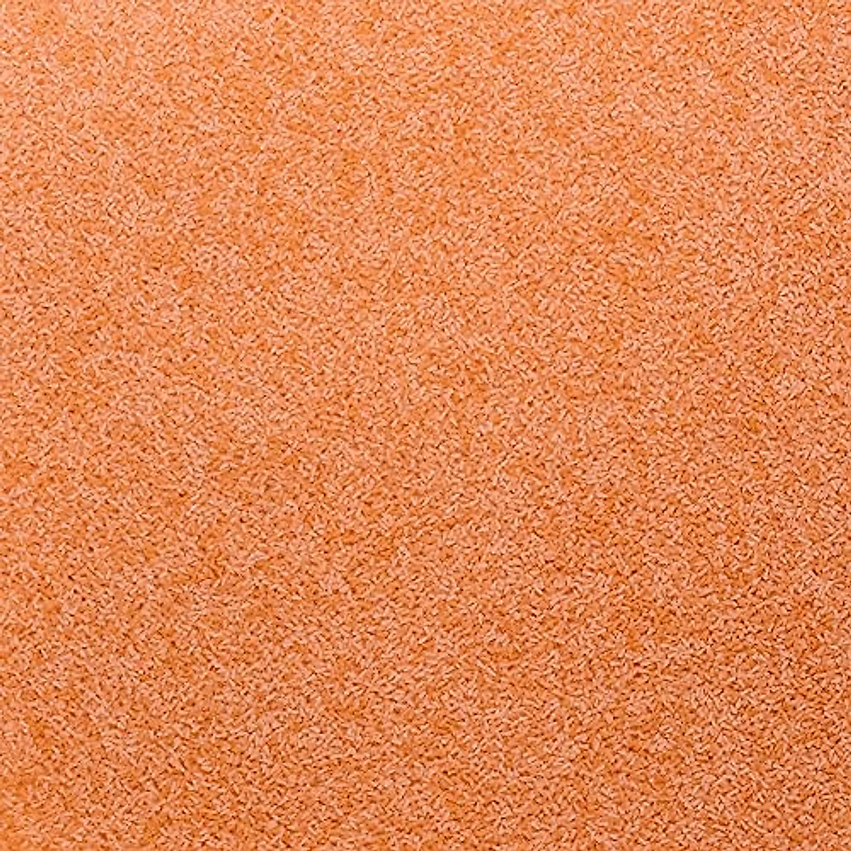 Ocean Nutrition Instant Baby Brine Shrimp 0.7-Ounces (20 Grams) Jar