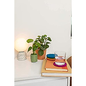 Graf Lantz Bierfilzl 100% Merino Wool Moisture Wicking, Absorbent Felt Coasters, Round, Multi-Color Set of 6, Rainbow