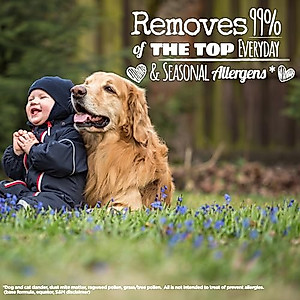 all Mega Pacs Laundry Detergent Pacs, Free Clear for Sensitive Skin, Unscented and Dye Free, 56 Count