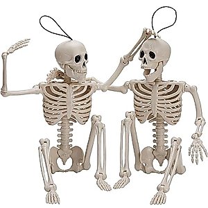 JOYIN 2 PCS 16 Inches Halloween Skeletons Full Body Posable Joints Skeletons for Halloween Graveyard Decorations, Haunted House Accessories