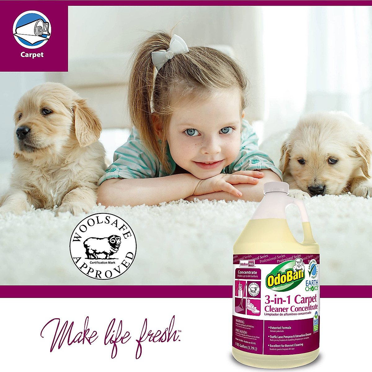 OdoBan Professional Series Cleaning 3-in-1 Carpet Cleaner Concentrate, Set of 2, 1 Gallon Each