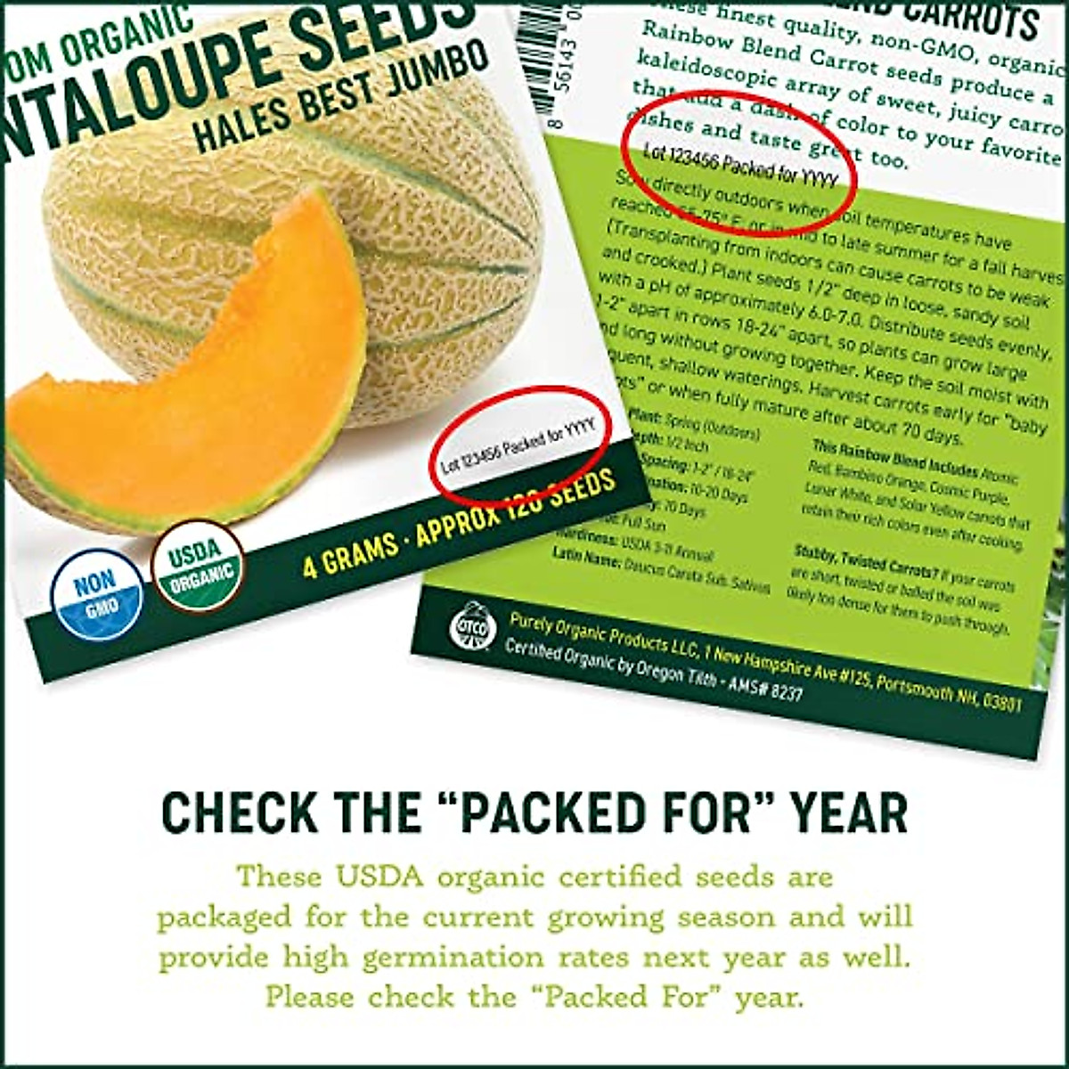 Organic Lettuce Seeds (Heirloom Buttercrunch) - Approx 1500 Seeds - Certified Organic, Non-GMO, Open Pollinated, Heirloom, USA Origin