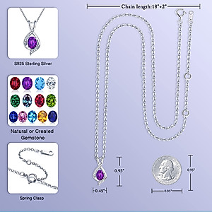 SMILEST Birthstone Necklace for Women, Amethyst Birthstone Necklace 18K White Gold Plated 925 Sterling Silver Birthstone Charms February Birthstone Necklace for Women Mom Birthstone Jewelry Gifts