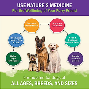 ZENAPET Allergy Immune Support Supplement for Dogs, Superfood 100% Human-Grade with Turkey Tail Mushroom, Prebiotics for Gut Health, Itchy Skin, Seasonal Allergies & Yeast - for Small to Large Breeds