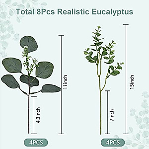 BLEUM CADE 8Pcs Artificial Eucalyptus Stems with Leaves, Mixed Faux Eucalyptus Stems Plants, Fake Silver Dollar Eucalyptus Greenery Stems for Vase Floral Arrangement Wedding Bouquet Centerpiece Decor