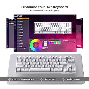 LTC NB681 Nimbleback Wired 65% Mechanical Keyboard, RGB Backlit Ultra-Compact 68 Keys Gaming Keyboard with Hot-Swappable Switch and Stand-Alone Arrow/Control Keys (Hot Swappable Red Switch, White)