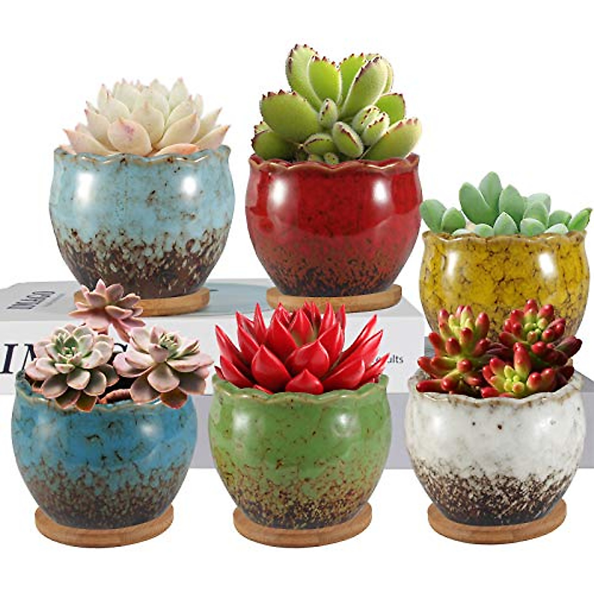 ZOUTOG Succulent Pots, 4 inch Colorful Ceramic Flower Pots, Succulent Planter with Drainage Hole and Bamboo Plant Saucers