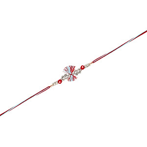 Ruci Store Fancy Silver Turtle Rakhi for Brother Raksha Bandhan Casting Metal Rakhi Lucky Charm Bracelet