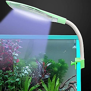 Aquarium Mini USB Lamp Tortoise Fish Tank Aquarium LED Clip On Leaf Head Light for Aquatic Plant Growing with US Plug(Blue White Light-Green)