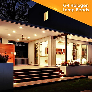 KAKALUOTE G4 Halogen Light Bulbs 12V 20W Halogen Bulbs G4 Base 2 Pin Warm White 2700K Light Bulbs for Chandeliers,Under Cabinet Puck Light,Track Lighting,Cooker Lighting(20 Pack)