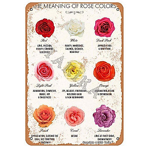 The Meaning of Rose Colors Iron 20X30 cm Vintage Look Decoration Crafts Sign for Home Kitchen Bathroom Farm Garden Garage Inspirational Quotes Wall Decor