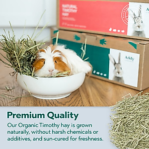 Andy Organic Timothy Hay Rabbit & Guinea Pig Food, 15 Lb Box, 1st Cut Timothy Hay, Premium Hay for Rabbits, Chinchilla, Gerbil, and Small Pet Treats