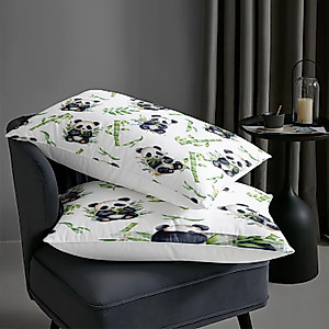 AILONEN Panda Kids Comforter Set Full Size, Kawaii Cute Cartoon Panda Bedding Set for Kids Boys Girls,Cute Duvet Set for All Season,Soft Breathable 3 PCS,1 Quilt and 2 Pillowcases