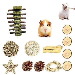 Fansisco Bunny Chew Toys for Teeth Grinding,Molar Rabbit Toys Organic Apple Chewing Sticks,Chew Treats and Balls for Hamster,Rabbit, Bunny, Chinchilla, Guinea Pig, Small Animal