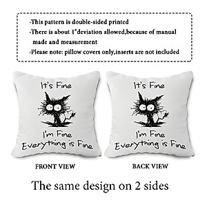 Inspirational Quotes Throw Pillow Cover, Everything is Fine Sofa Home Bed Decor Study Black Cat Couch Case, 18 x 18 Inches Pillowcase Gift for School Office Bedroom Living Room Reading Room -13