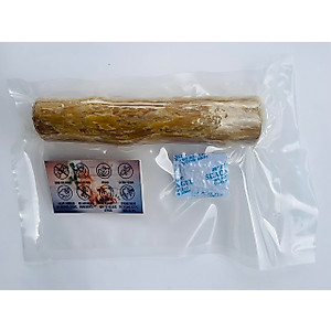 BENRIKIDS Real Coffee Wood Dog Chew, Long Lasting, Durable Chewable Stick and Dog Toy, Wood Chew Toy for Dogs, Dental Care & Chewing Muscle Training Coffee Wood Stick for Dogs, 1Pc Size M