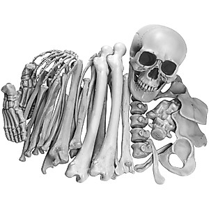 35 Pieces Skeleton Bones for Halloween Decoration - Plastic Bones Scary Props Decoration for Life Size Skull Bones Decor for Halloween Graveyard Scene Haunted Houses Outdoor Indoor