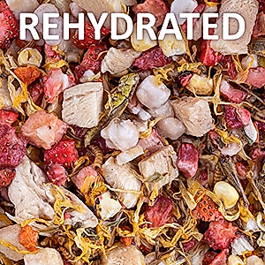 Healthy Herp Box Turtle Food Instant Meal 5.07-Ounce (143.73 Grams) Jar