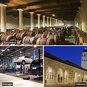 ENERGETIC Motion Sensor Light Bulb, 60 Watt Equivalent (8.5W), Indoor/Outdoor Automatic Activated by Motion, A19, E26, 5000K Dusk to Dawn Security Bulbs for Entrance, Porch, Stairs, Hallway, 2 Pack