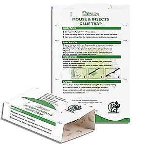 Garsum 6 Pack Mouse Traps Indoor Sticky Glue Board for Mice Roach Spiders Snakes Pest Trap