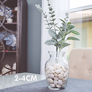 Galashield 5 lbs Approx. 130 White River Rocks Stones for Plants Pebbles for Indoor Plants | Aquarium Fish Tank Rocks | Polished Decorative Rocks for Vases (0.8-1.6 Inches)