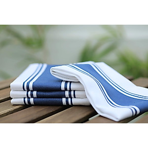 AMOUR INFINI Cotton Stripe Kitchen Towels Set of 4 Highly Absorbent, Super Soft, Quick Drying Dish Towels with Hanging Loop Oversized Washable Tea Towels (28x20 Inch - Blue)