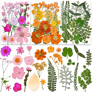 OECOO 285PCS Small Dried Pressed Butterfly Sticker Flower for Resin,Real Nature Pressing Floral Leaves for DIY Craft, Mold, Jewelry Making, Candle Scrapbooking Supplies