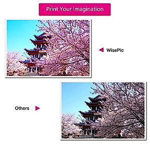 WisePic Remanufactured Ink Cartridge Replacement for Epson 124 T124 to Use with Workforce 435 320 323 325 Stylus NX420 NX430 NX230 NX330 NX125 NX127 NX130 Printer (2 Black)