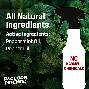 Exterminator’s Choice - Raccoon Defense Spray - 32 OZ - Natural, Non-Toxic Raccoon Repellent - Quick and Easy Pest Control - Safe Around Kids and Pets