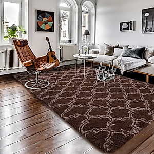 HOMORE Luxury Bedroom Rug, 4x6 Feet Area Rug for Living Room, Modern Fluffy Rugs, Soft and Comfy Rug for Kids Nusery Dorm and Home Office, Brown/Beige
