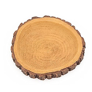 AQUA KT Reptile Corner Water Dish Food Feeding Bowl for Snake Lizard Bearded Dragon Turtle Feed and Terrarium Habitat Cage Decoration