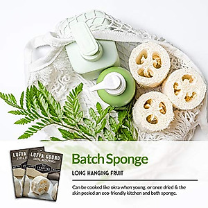 Survival Garden Seeds - Luffa or Loofah Seed for Planting - Packet with Instructions to Plant and Grow Ornamental Gourds in Your Home Vegetable Garden - Non-GMO Heirloom Variety - 1 Pack