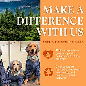 Soft Chew Multivitamin for Dogs - Mobility Focus | Joint Support and Cartilage Supplement for Dogs, Glucosamine HCl, Chondroitin Sulfate, and Curcumin | OTIS Healthy Dog Treats | 90 Counts, 9.52 oz