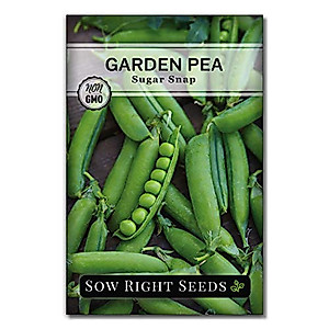 Sow Right Seeds - Spring Vegetable Seeds Collection for Planting - Individual Packets Basil, Broccoli, Carrot, Onion, Cauliflower, and Peas, Non-GMO Heirloom Seeds to Plant an Outdoor Home Garden