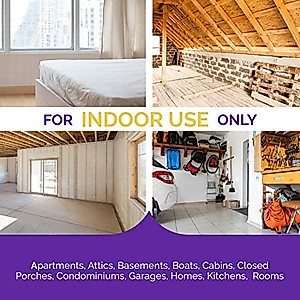 Hot Shot Bedbug & Flea Fogger For Insects, Aerosol, 3/2-Ounce, Pack of 18